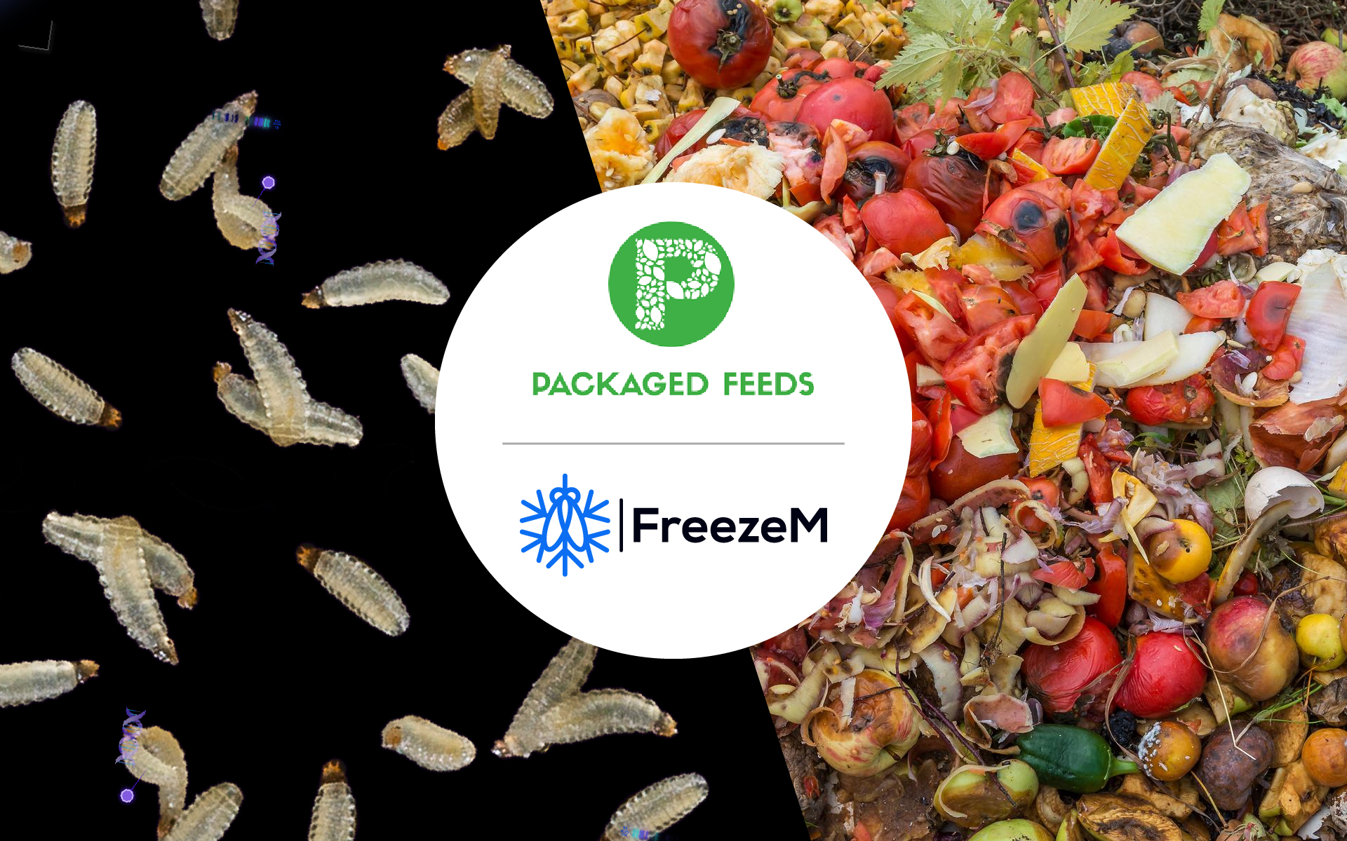 Packaged Feeds Partners with FreezeM to Advance Zero-Waste Solutions ...